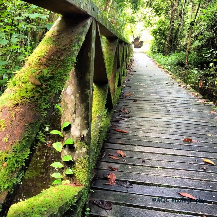 Niah National Park - Niah Cave Experience, Miri Malaysia [Part 1 ...