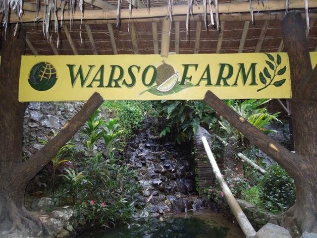 3 Tempat Wisata Alam Hits di Puncak Bogor - WisataFavorit.com