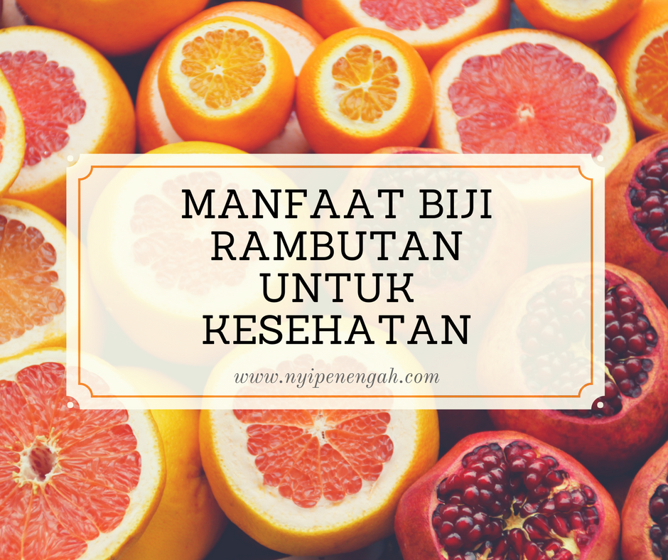 Manfaat Biji Rambutan untuk Kesehatan - Nyi Penengah Dewanti