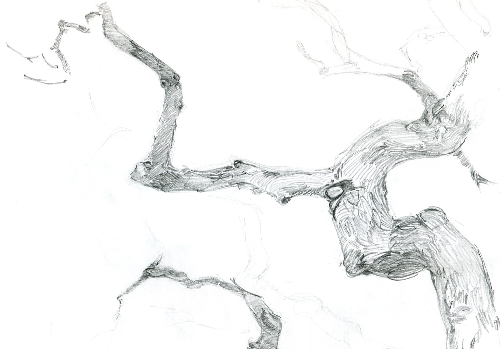 plain air abstract: Trees/ Branches