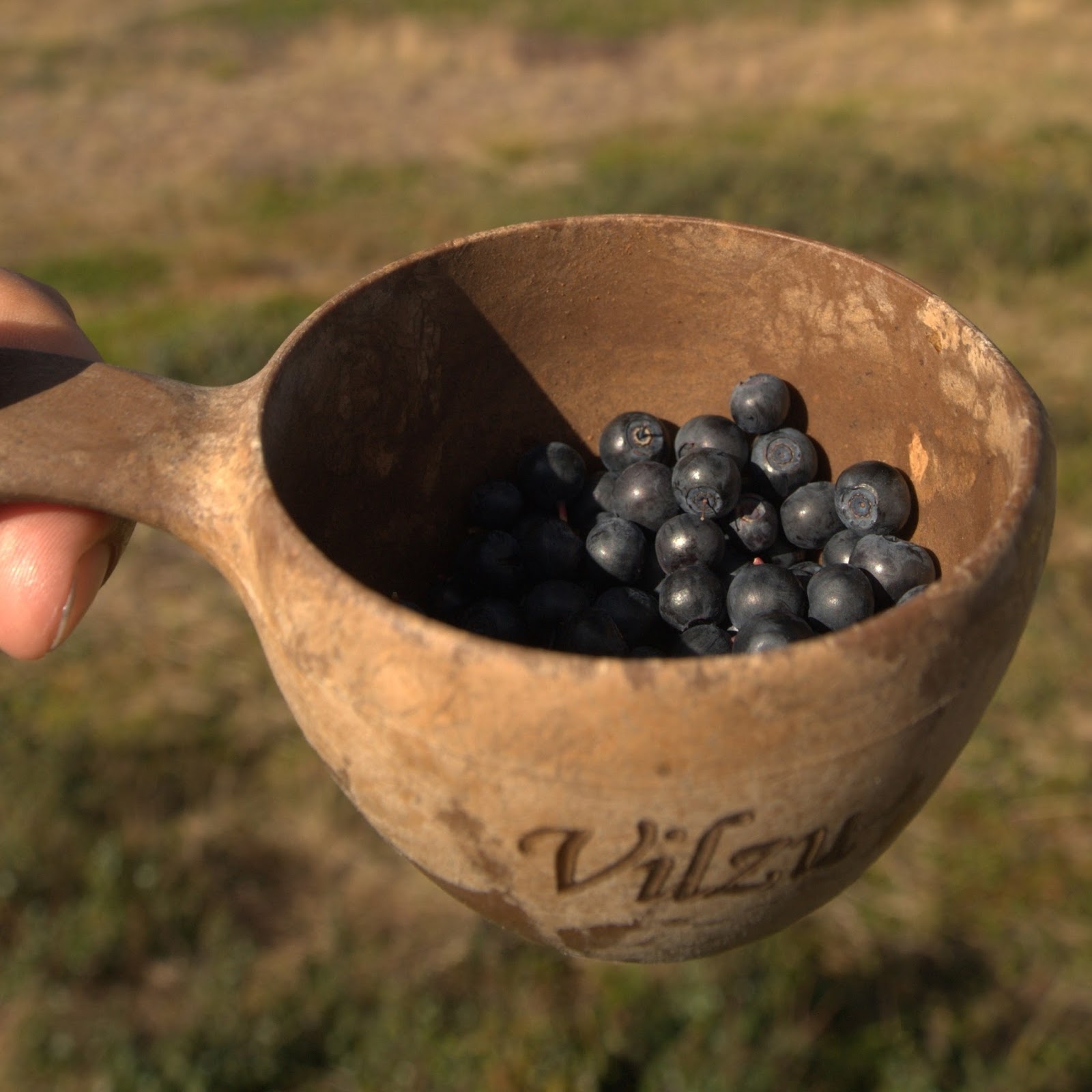 Vilzun retkiblogi: Kupilka retkiastiat