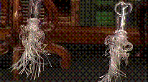 Kelsie's TED Talk: TED Talk #7: Aimee Mullins