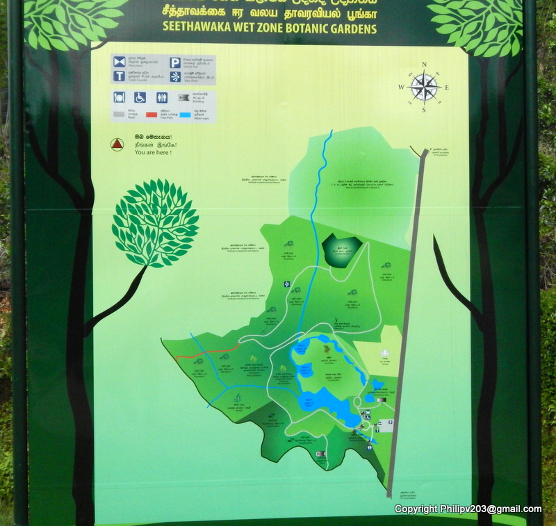 Images of Sri Lanka on blogspot.com: At the Seethawaka Botanical ...