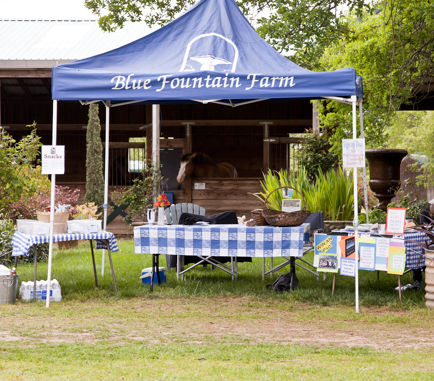 Blue Fountain Farm and Photography