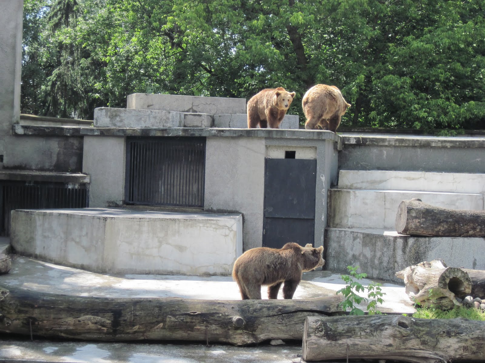Our Polish Adventure: A day at the Warsaw zoo