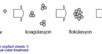 Prof. Dr. Bilsen Beşergil: Koagülasyon (coagulation)