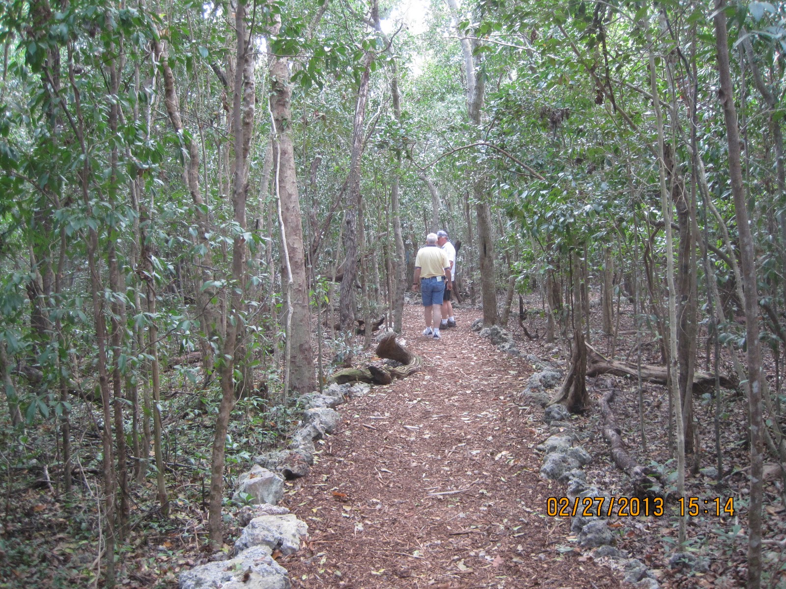 Levesque's Adventures: Wednesday, February 27