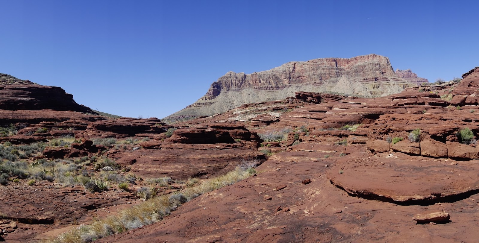 Saumya's Hiking Trips: Grand Canyon (Utah Flats/Phantom Canyon): March 2016