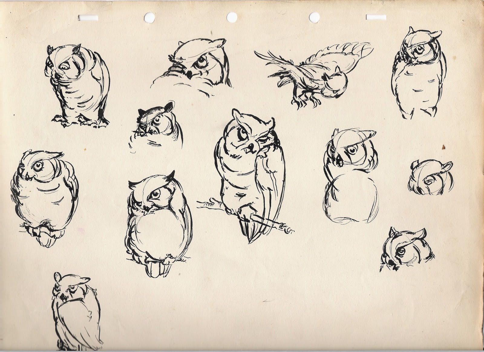 Deja View: Disney Owls