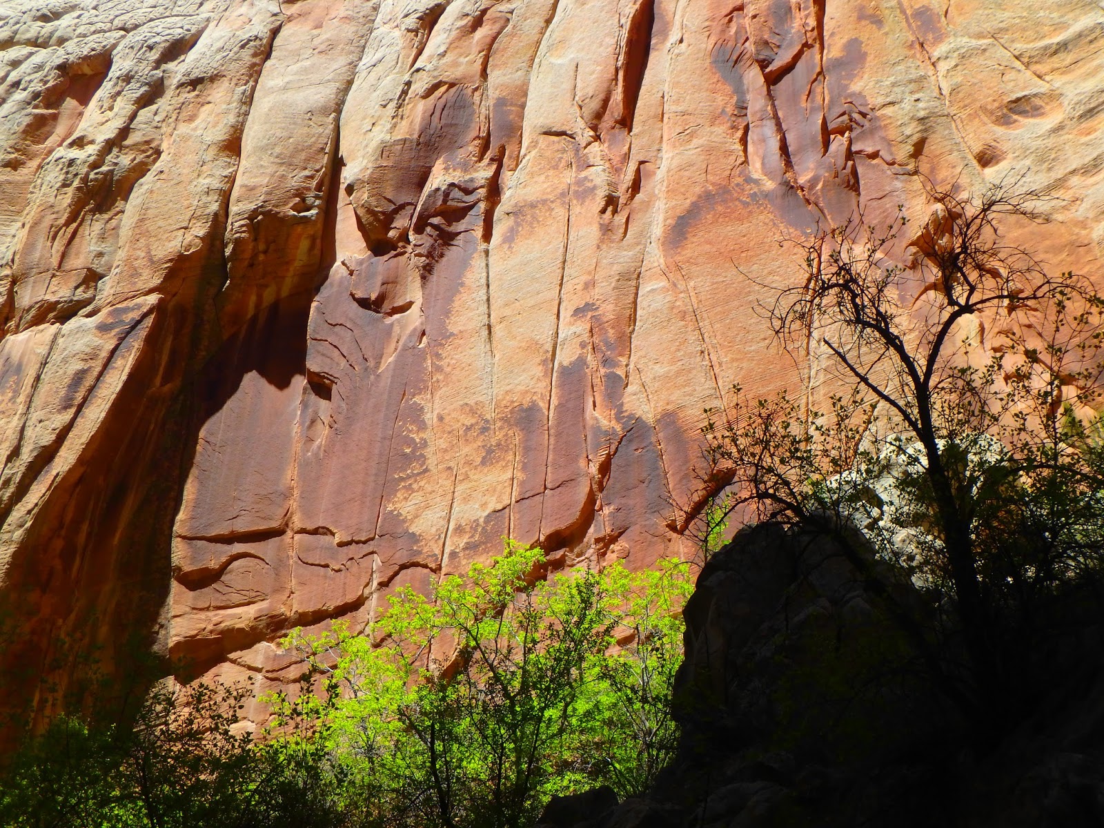 PAMPERED PENGUIN: May 5, 2017 Round Canyon Draw, Utah