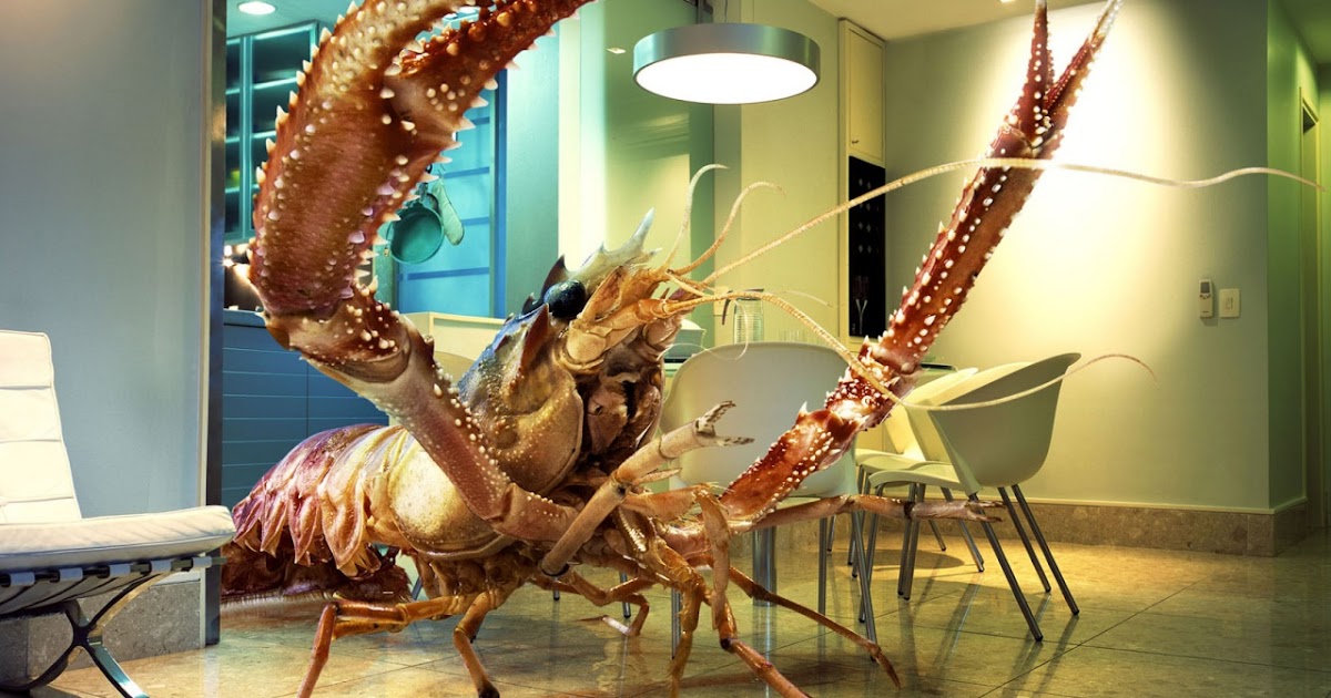 imaginary hallways: Crab Temple Random Encounters