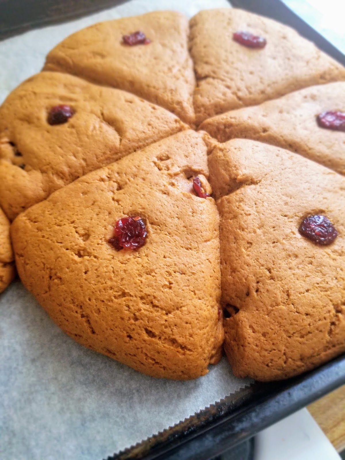 Hot and Cold Running Mom - Just my Stuff: Newfoundland Lassy Buns