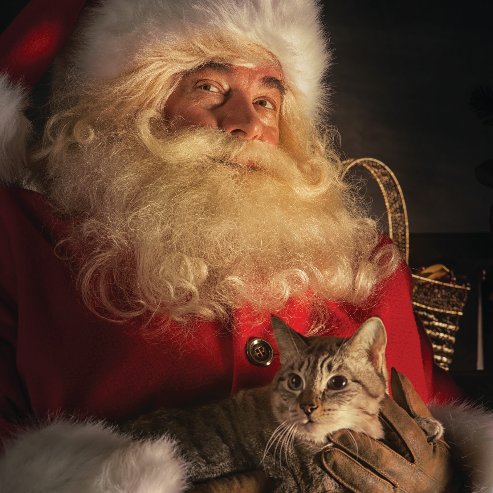 One Tank Trips: Children can visit Santa’s Winter Wonderland at ...