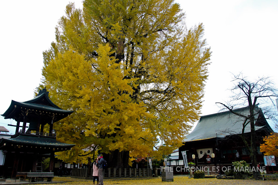 Time Travel to Old Japan at Hida Takayama | The Chronicles of Mariane