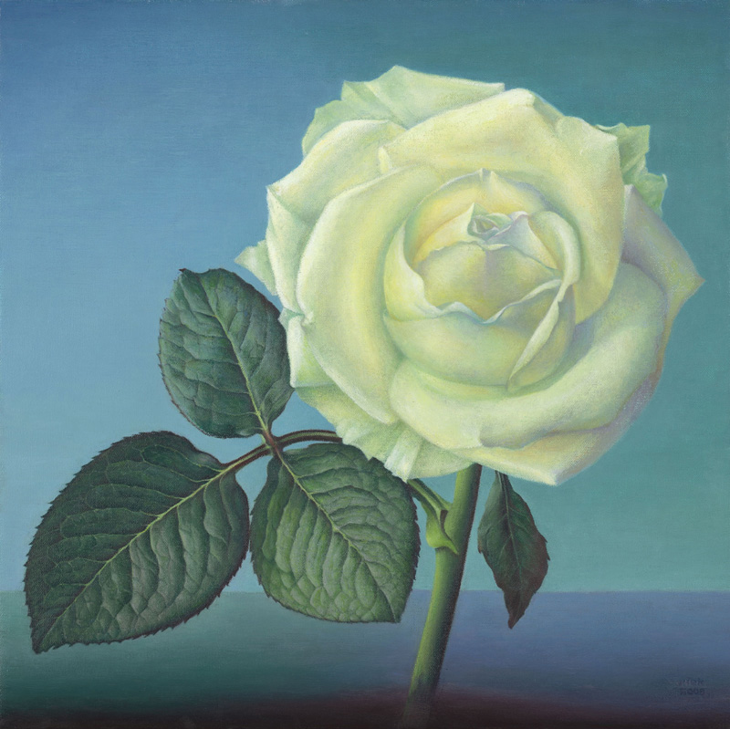 NÃO ABANDONE SEU MELHOR AMIGO * VERLASSE NICHT DEINEN BESTEN FREUND ...