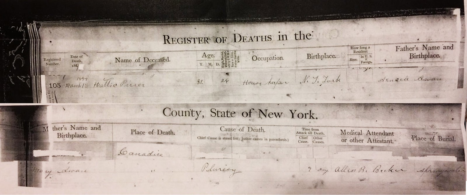 Sara's Roots: Genealogy and Family History