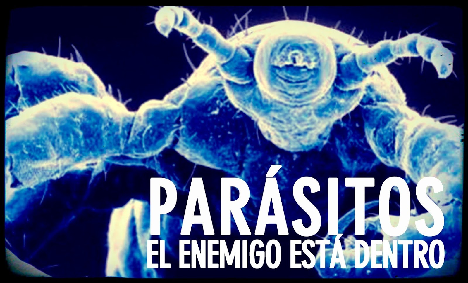Armonía, Salud y Vida: Los parásitos en el cuerpo humano (Parte III)