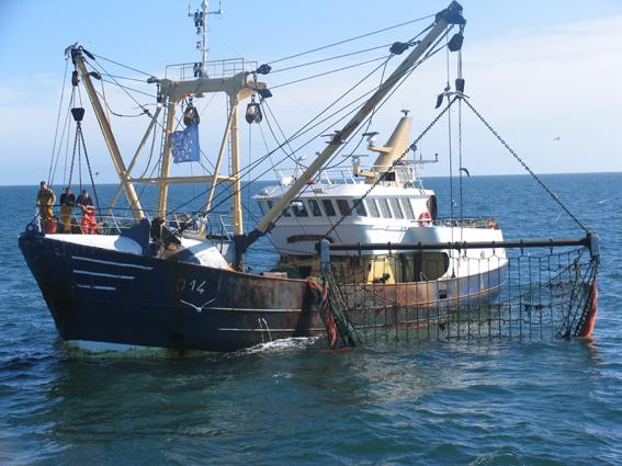 AGRIBUSINESS-NIGERIA: REVIVING FISH AND SHRIMP TRAWLING IN NIGERIA 1