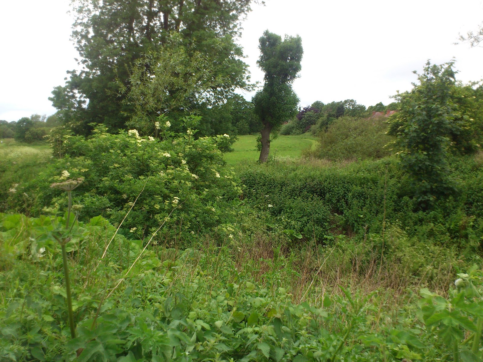 A Brummie's Guide to Birmingham: River Rea; Middlemore Rd - Popes Ln.