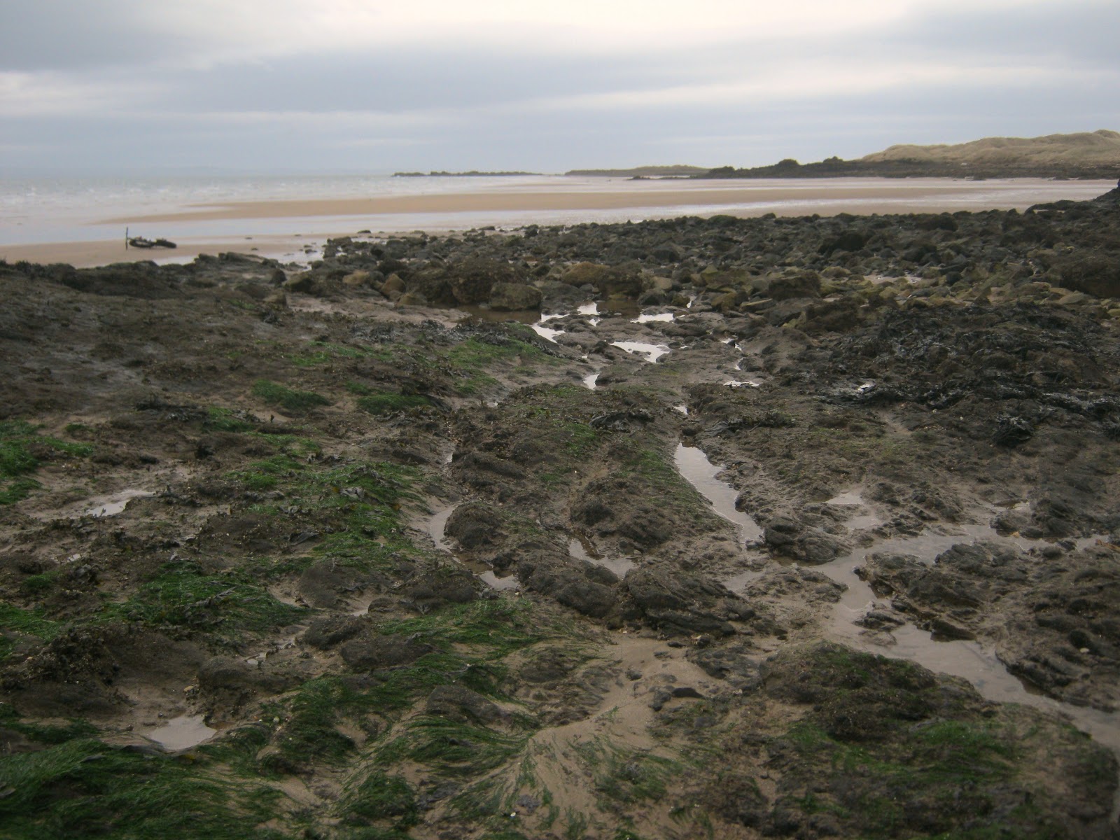 coastrider: Spring Tides Beach Rides...