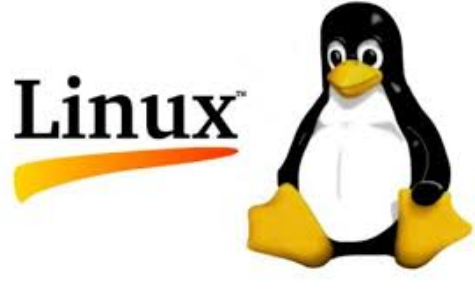 Linux pros and cons of various categories and sides | computer parts ...