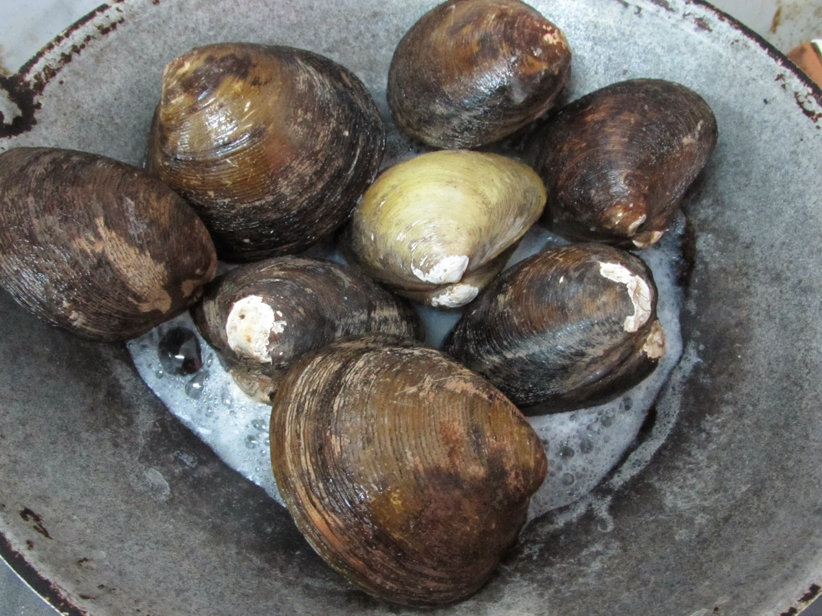 Cerita Bearcat: Teknik Memasak Lokan