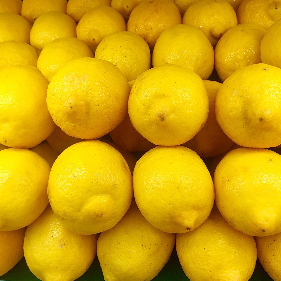 6 Panduan Praktis Cara Menanam Lemon di Halaman Rumah - SAHABAT TANI