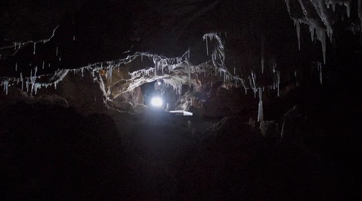 abraxas 365 dokumentarci: Cave of Forgotten Dreams (2010)