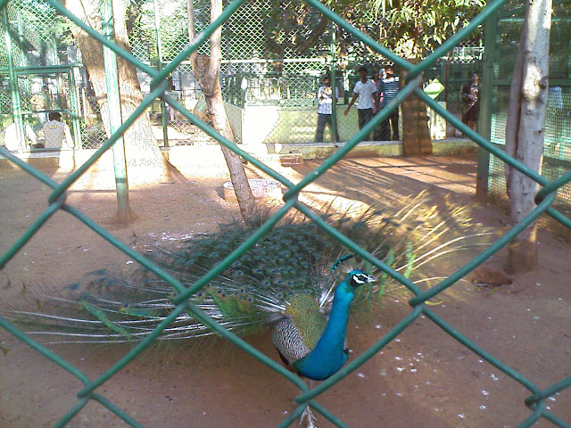 Tamilnadu Tourism: VOC Park and Zoo, Coimbatore