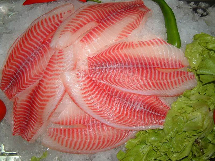 SUCI , BERKAT DAN TANPA BAU...: SALAM FISH....."Suci Lagi Berkat"..