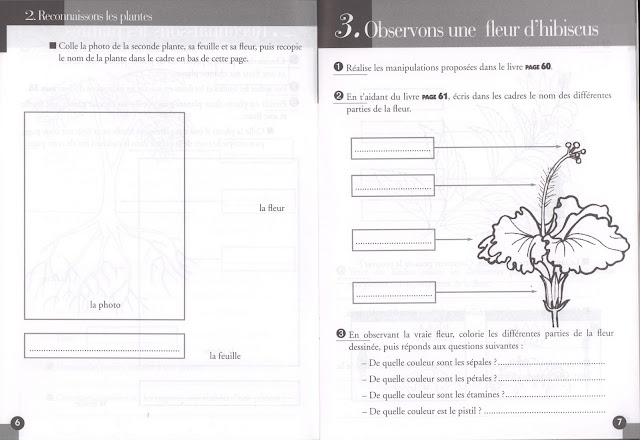 école : références: Gobern, Lavarec, La découverte du vivant en milieu ...