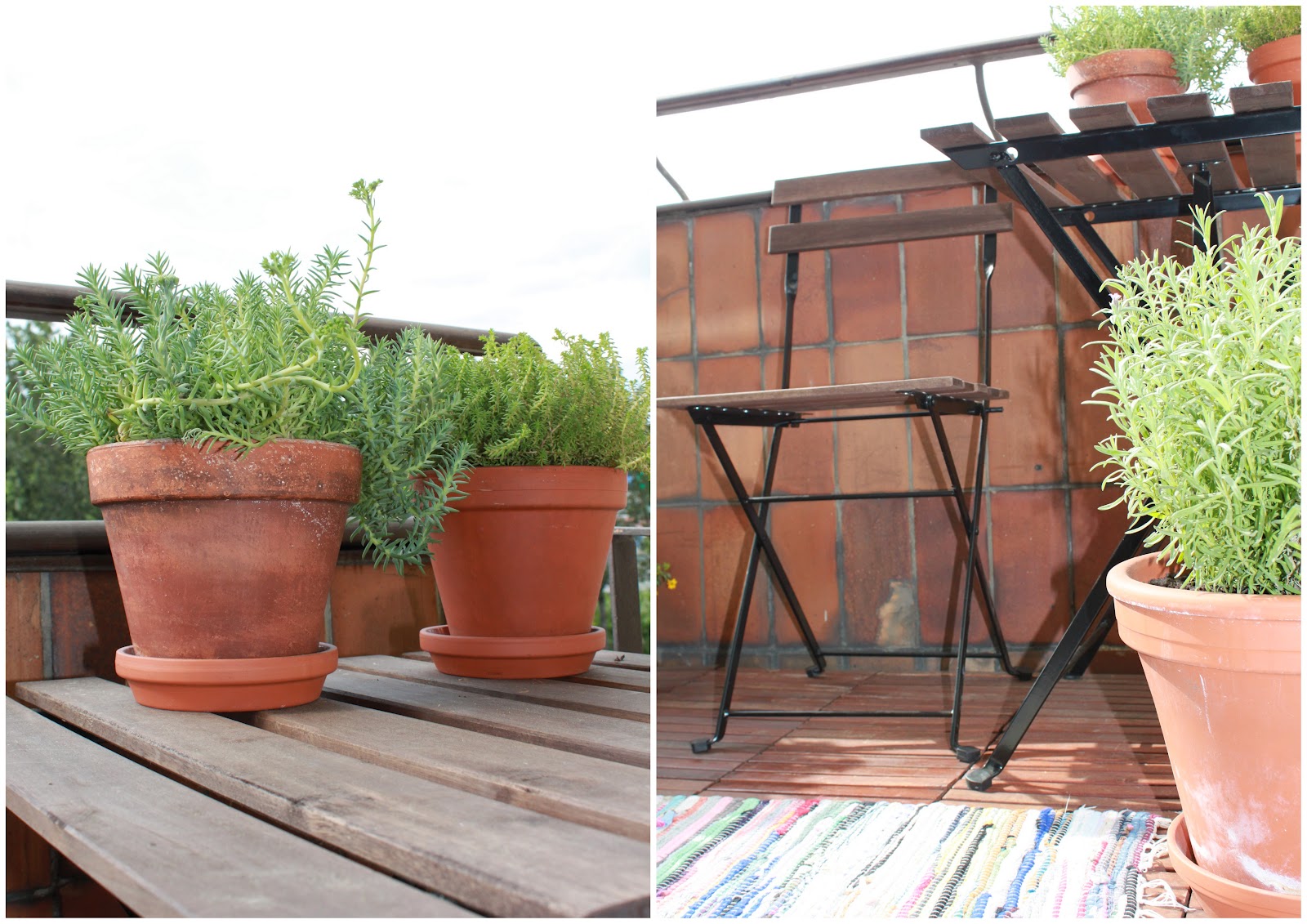 Pari ovea: Parveke auringossa