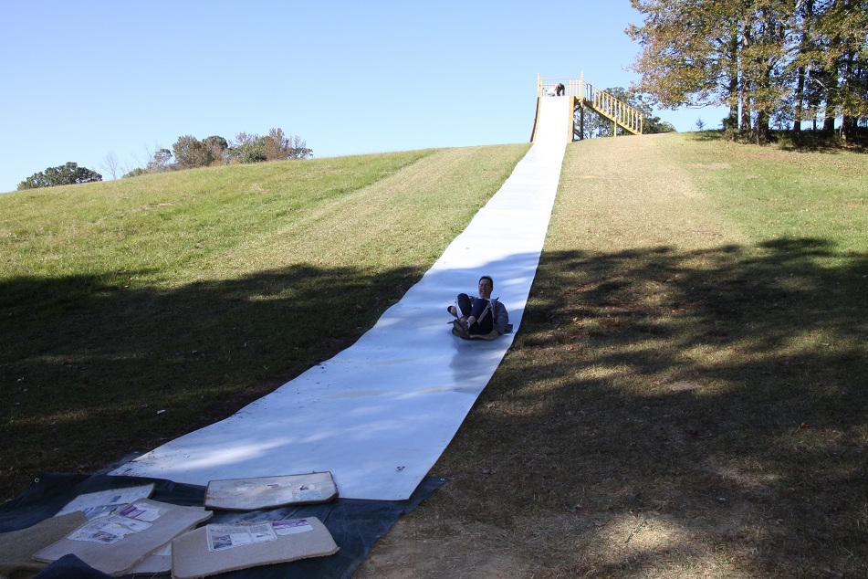 The Cummings Chronicles: Bull Bottom Farms