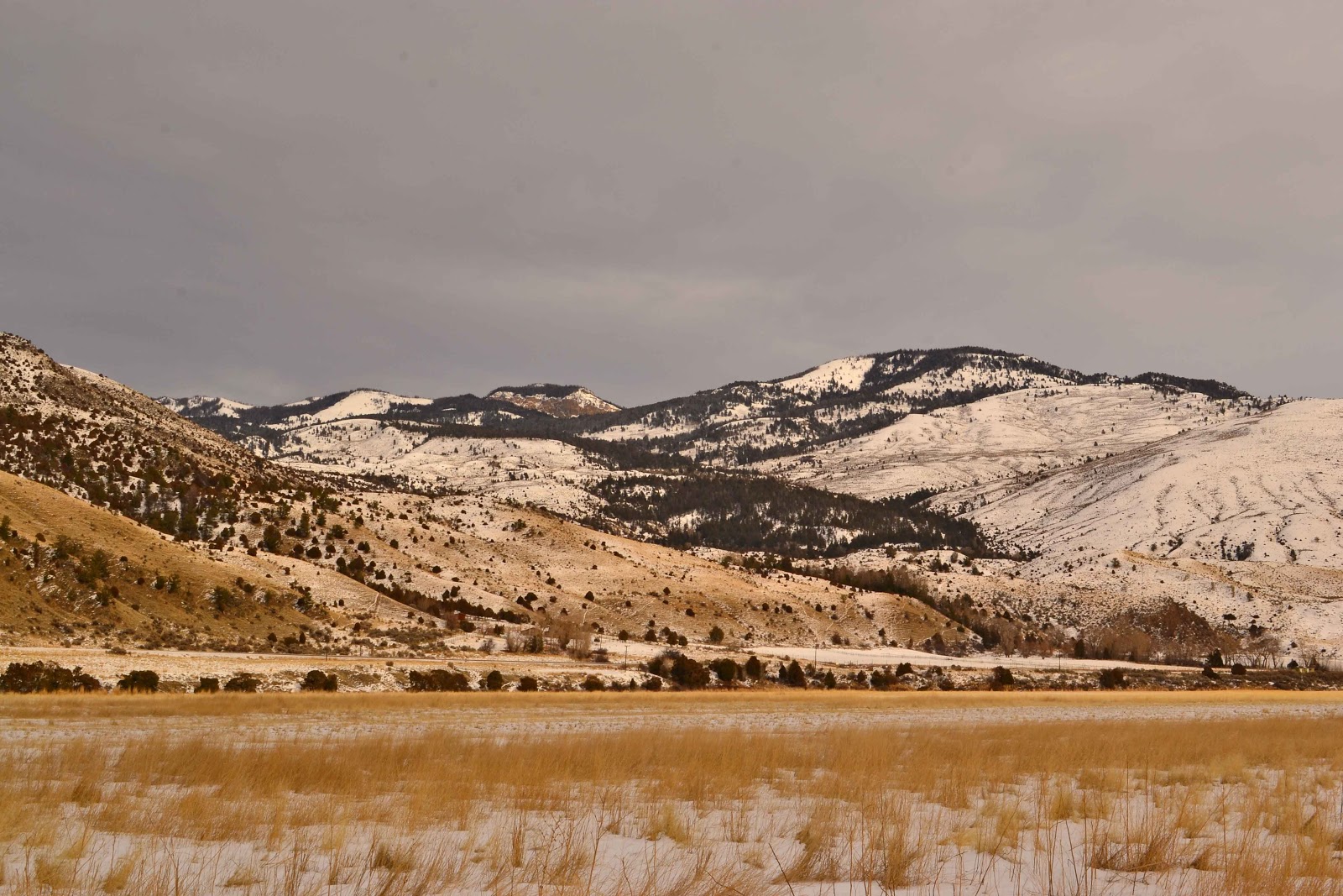 Putah Creek Photo: Montana In Deep Freeze