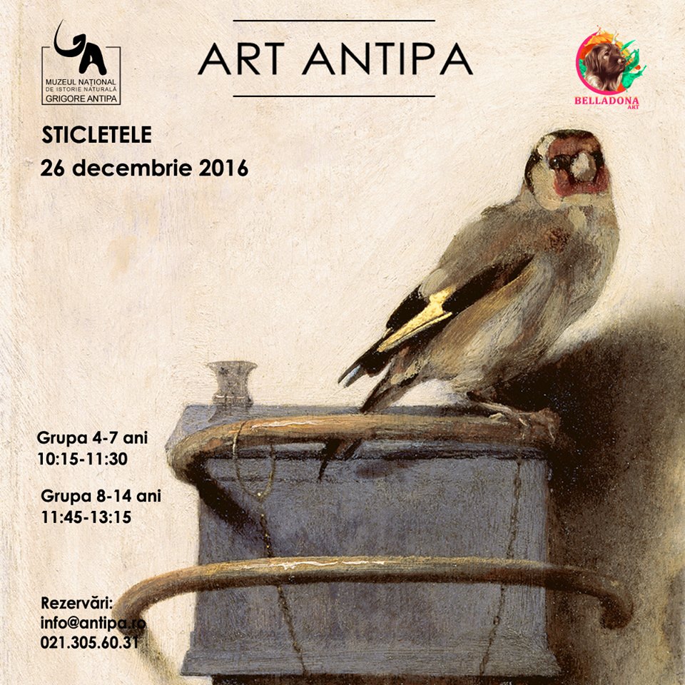 Ştiinţă pentru toţi: Sticletele