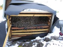 Bee Hive Journal - Help and advice for beekeepers