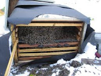 Bee Hive Journal - Help and advice for beekeepers