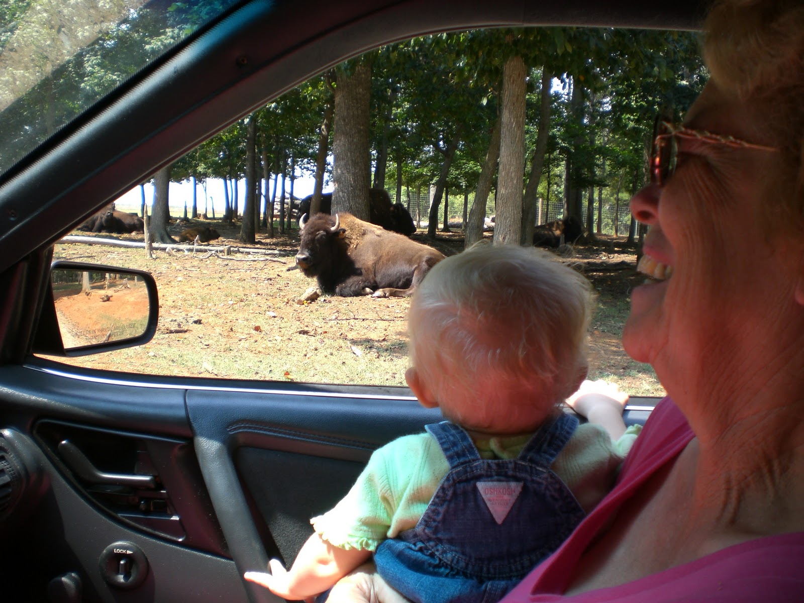 Travel NC With Kids: Lazy 5 Ranch in Mooresville, NC Offers a Ride ...