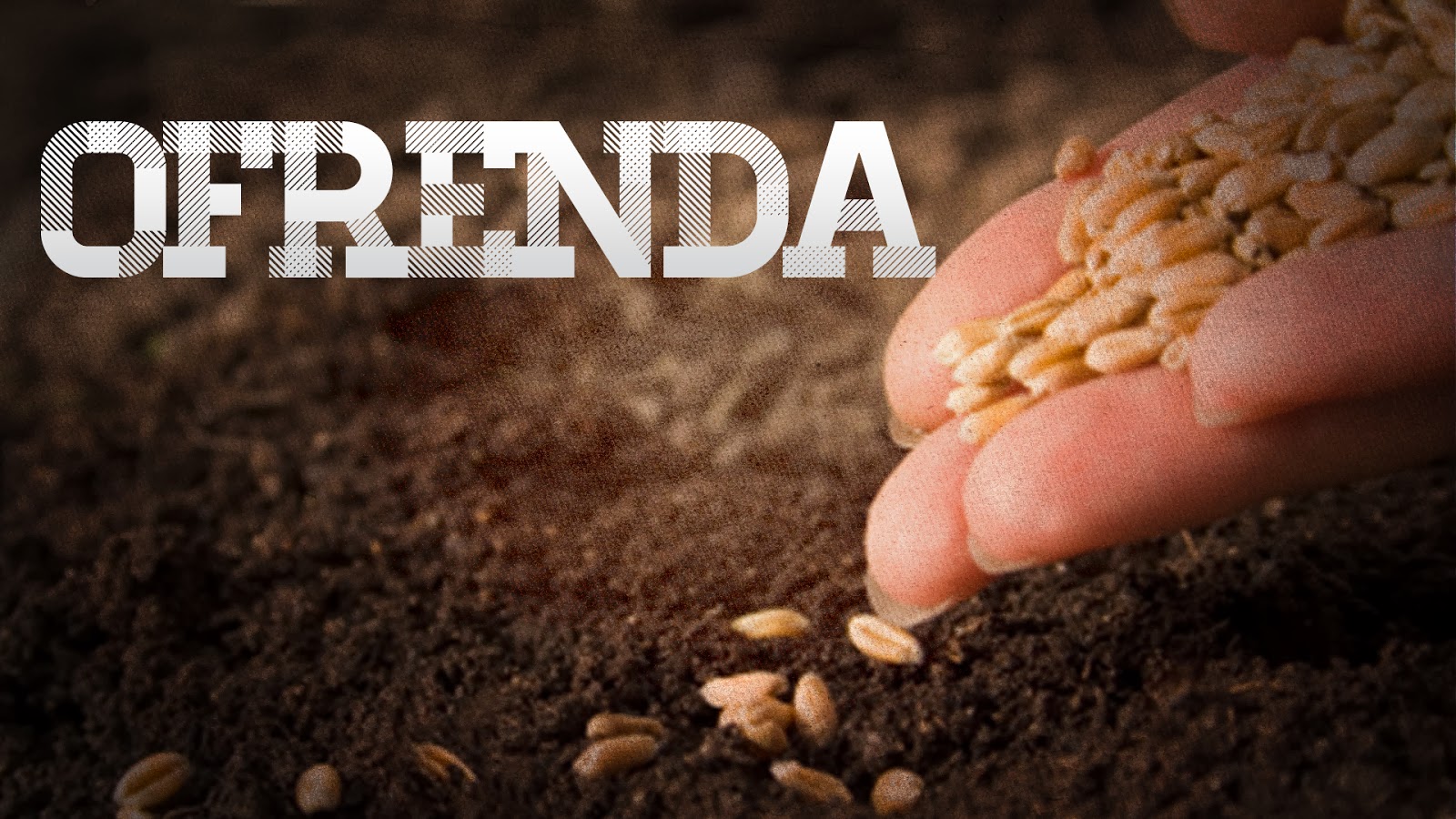 MIS PASTILLAS DE FE: TU OFRENDA VOLUNTARIA