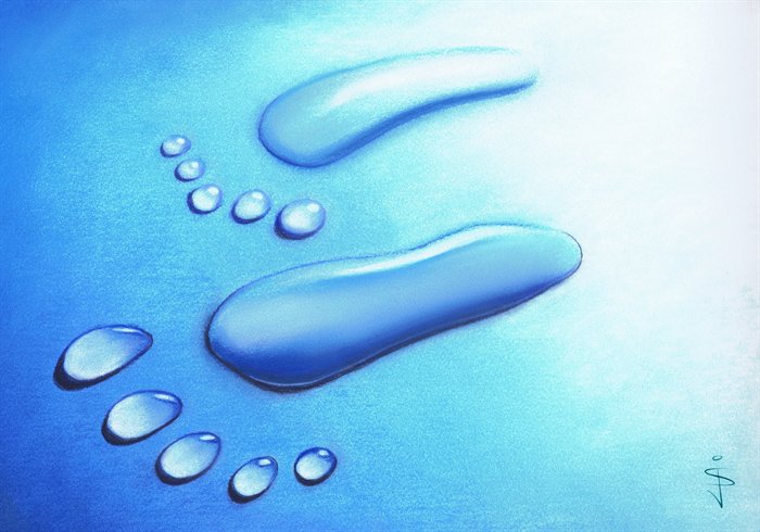 Water Conservation Station: Wet Feet: Understanding your water footprint