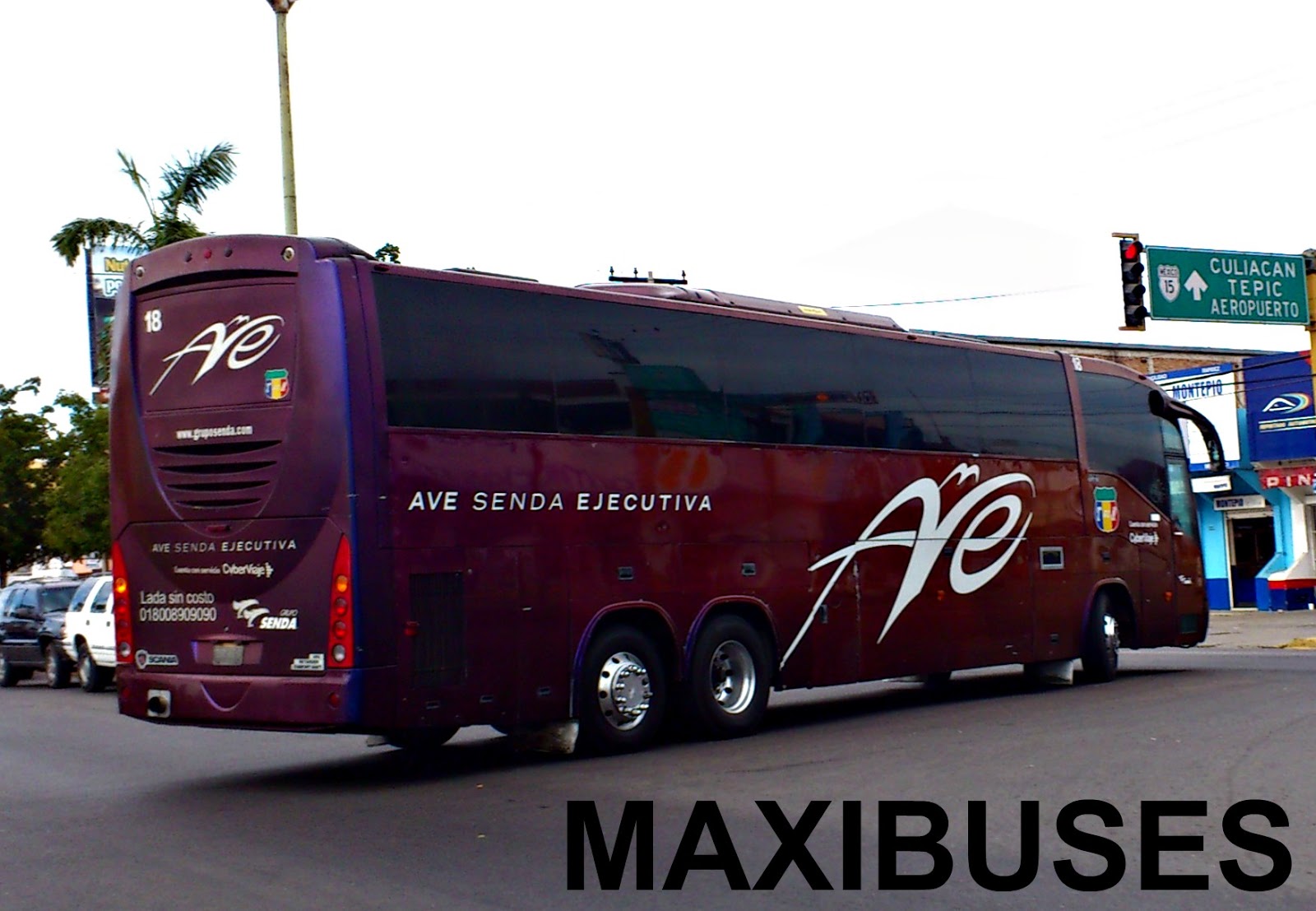 MAXIBUSES: AVE SENDA EJECUTIVA