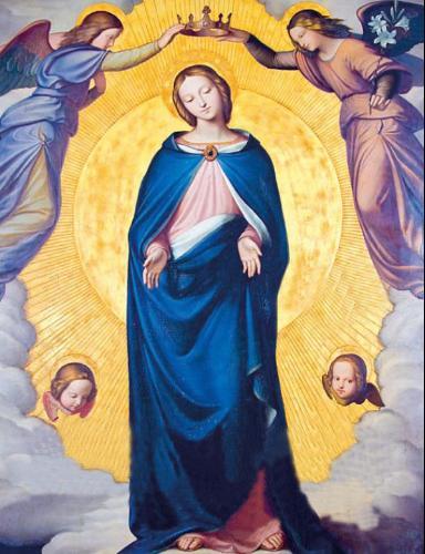 Cooperadores São Paulo: Assunção de Maria Santíssima