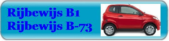 Nieuwe Verkeersproject voor Vlaanderen en België : Rijbewijs B1 - B-73