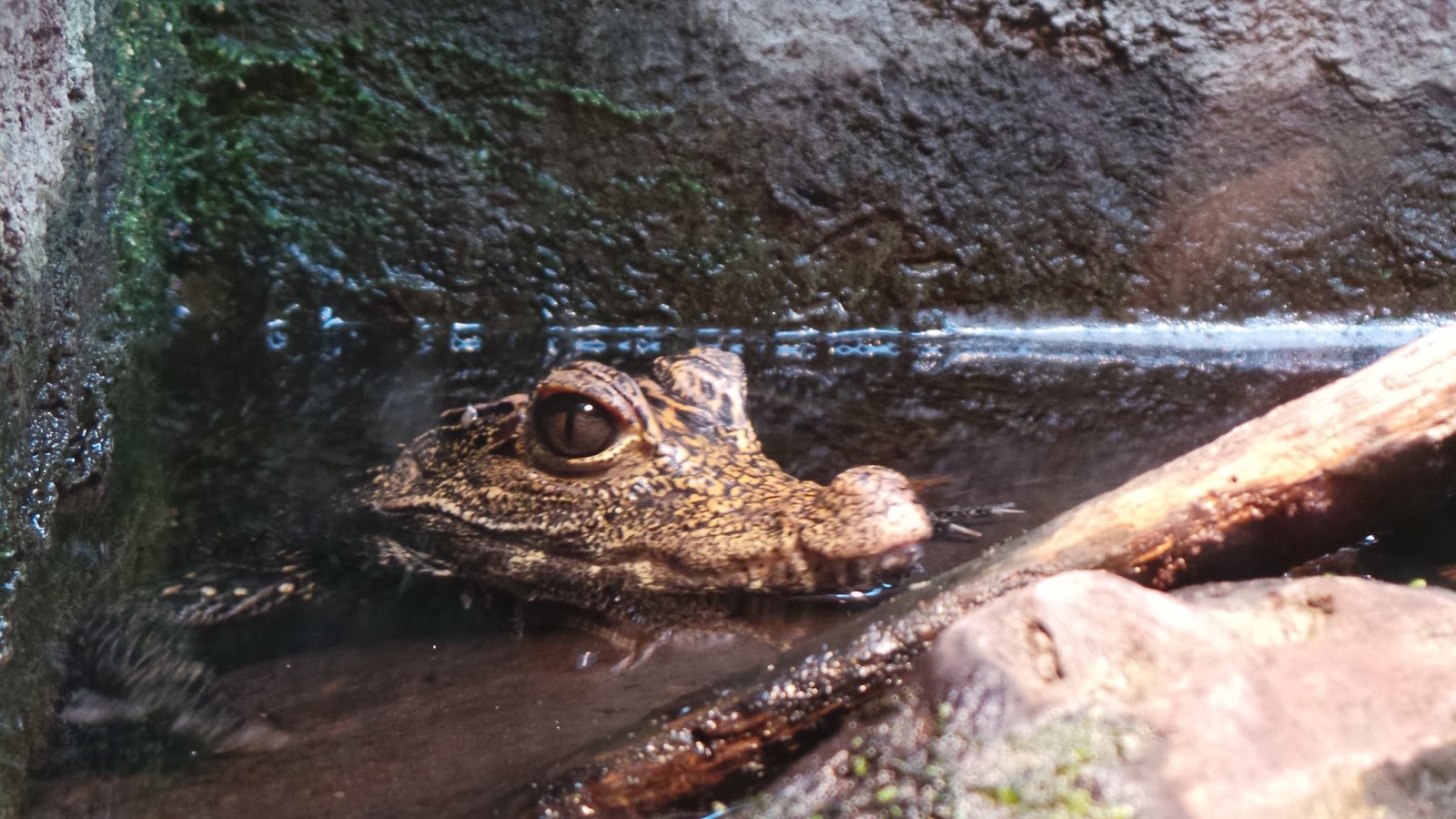 31 Unique Day Trips From Columbus Ohio | Fun Ohio Day Trips