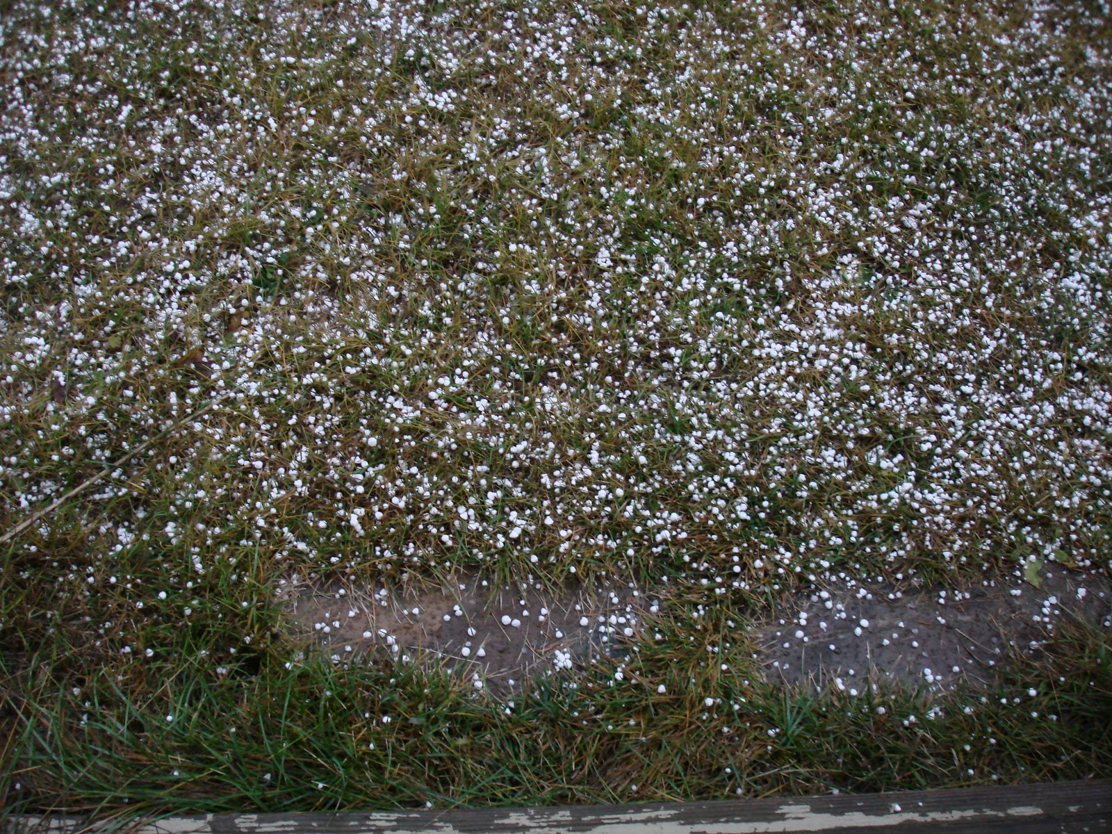 Clan of the Mountaindreamers: popcorn snow