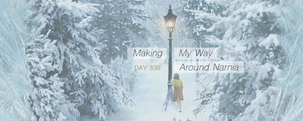 Day 338 - Making My Way Around Narnia - Undercover Big Year