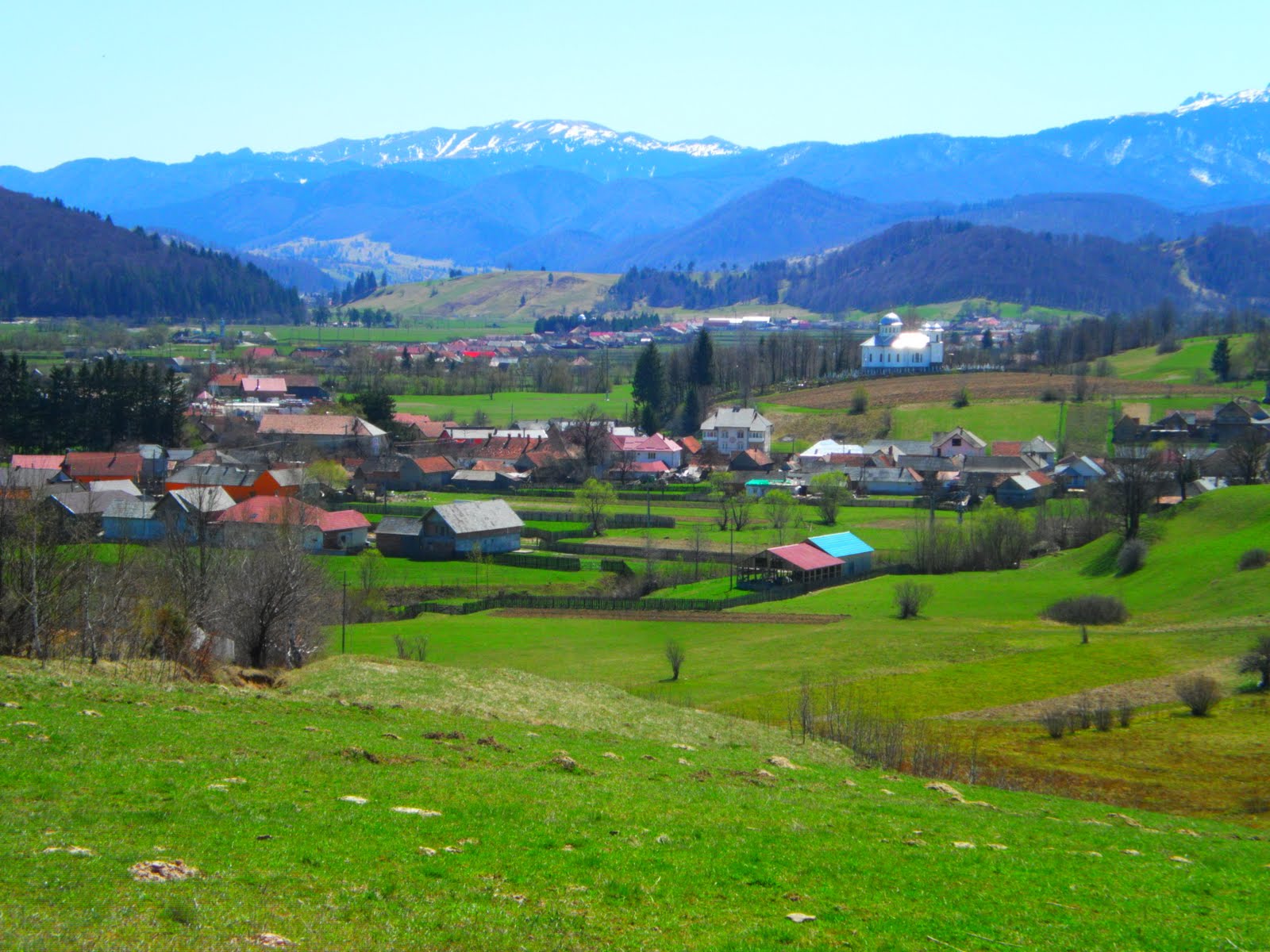 Intorsura Buzaului, Izvorul Buzaielor.: Bradet