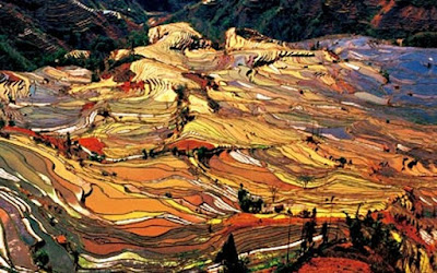 Beautiful Place Rice Field Terraces in Yunnan China - Most Lovely Place