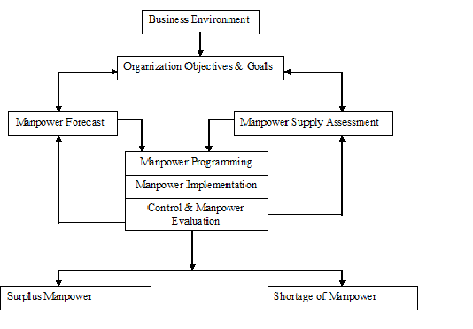 MANAGEMENT PORTAL: HRP SYSTEM
