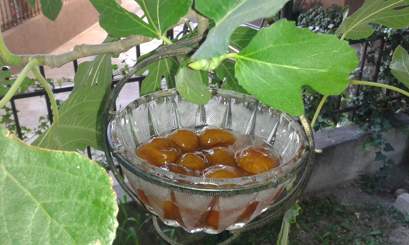 RECEPTI-BILJINA KUHINJA: SLATKO OD SMOKVI